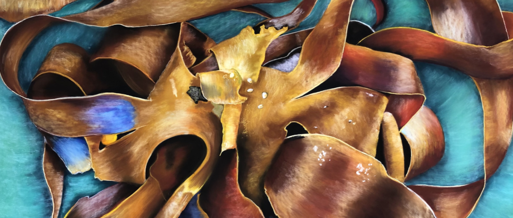 Felicity Talman - Inspired By Seaweed - Pastel Today