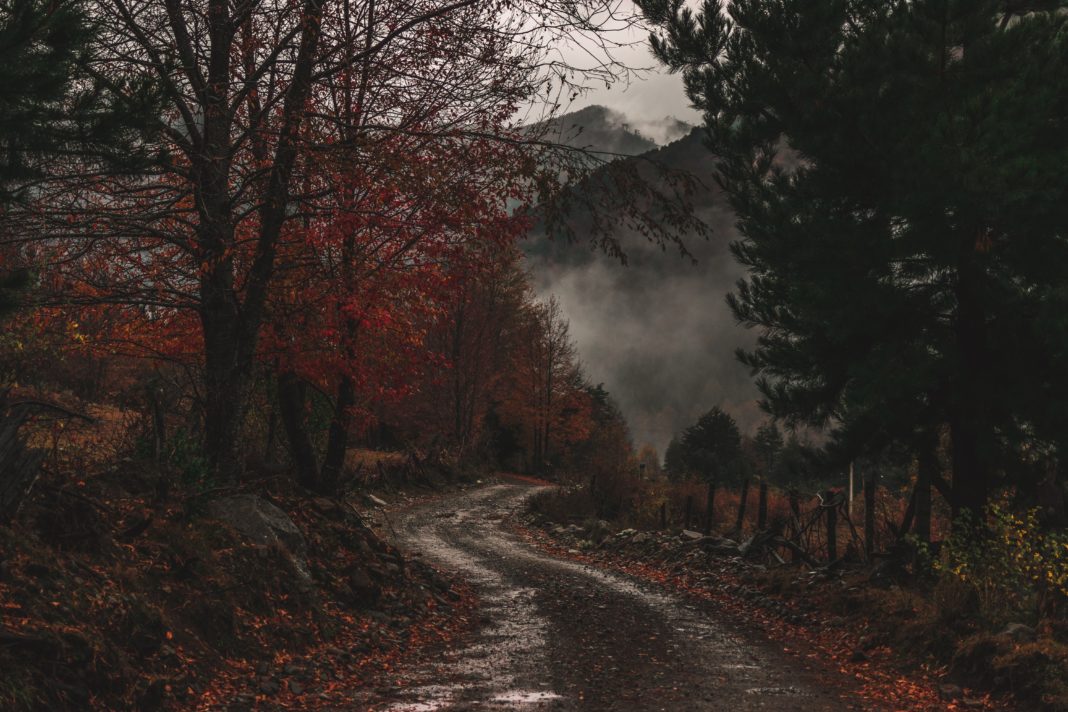 Copyright-Free Photos To Use For Painting - Pastel Today