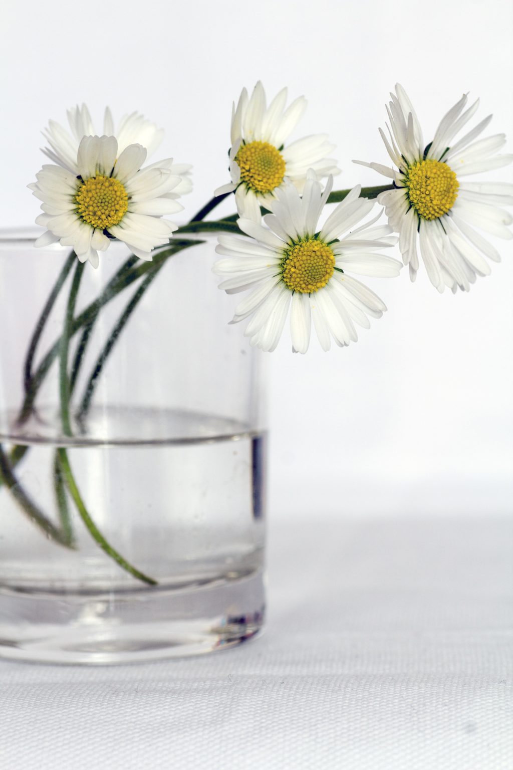 Copyright-Free Photos To Use For Painting - Pastel Today